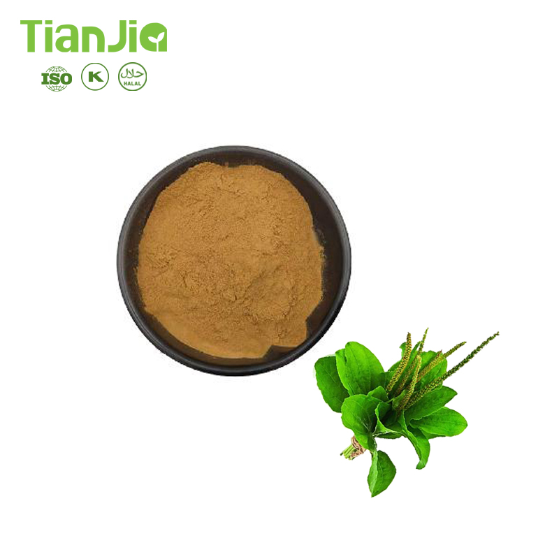 Vegeta® PTE Plantain Extract